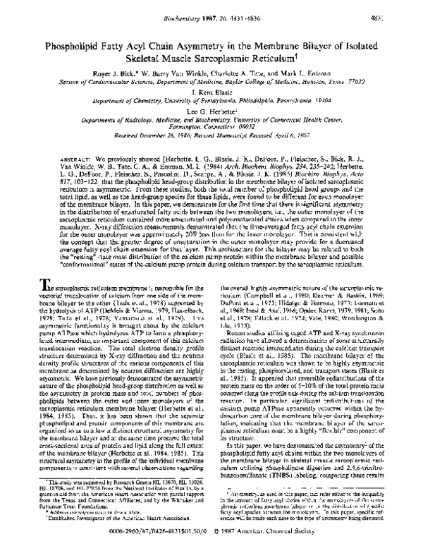 (PDF) Phospholipid fatty acyl chain asymmetry in the membrane bilayer ...