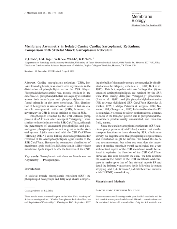 (PDF) Membrane Asymmetry in Isolated Canine Cardiac Sarcoplasmic ...