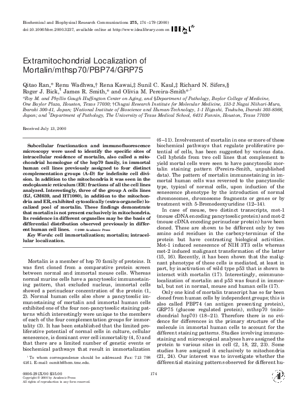 (PDF) Extramitochondrial Localization of Mortalin/mthsp70/PBP74/GRP75 ...