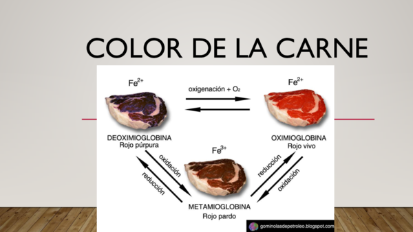 (PPT) Color de la carne y productos carnicos Presentacion