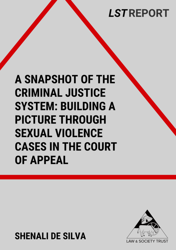 (PDF) A Snapshot of the Criminal Justice System: Building a Picture ...