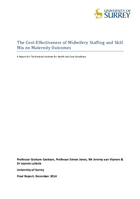 (PDF) The Cost-Effectiveness of Midwifery Staffing and Skill Mix on ...