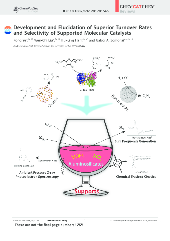 (PDF) Development and Elucidation of Superior Turnover Rates and ...