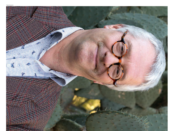 (PDF) Entrevista a Charles Forceville: «LAS METÁFORAS PROBABLEMENTE SON ...