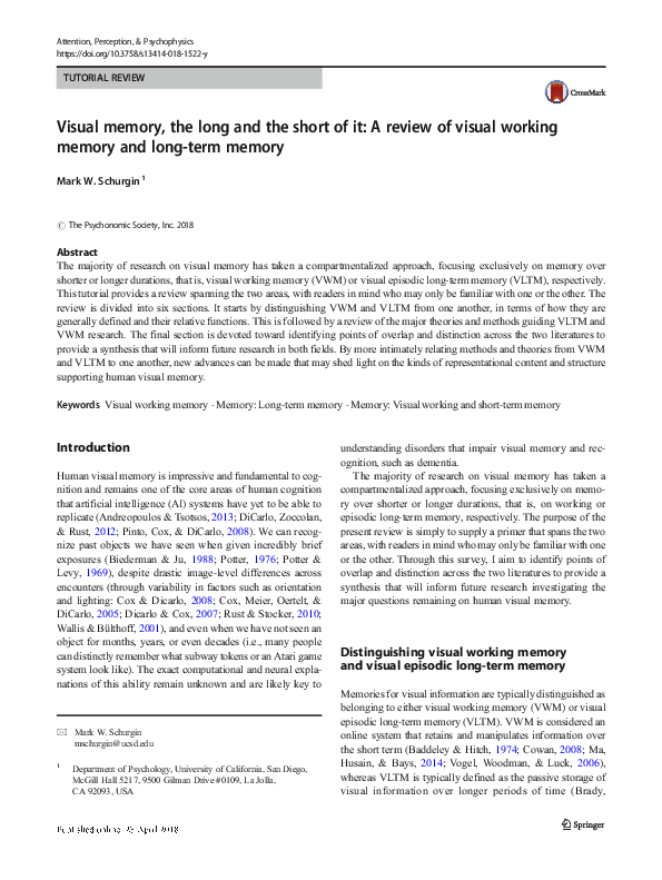 (PDF) Visual memory, the long and the short of it: A review of visual ...