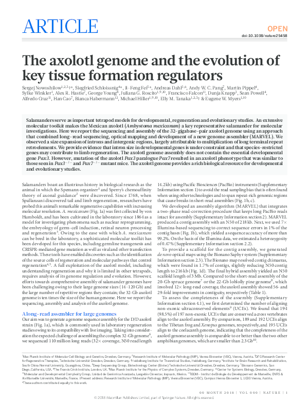 (PDF) The axolotl genome and the evolution of key tissue formation ...