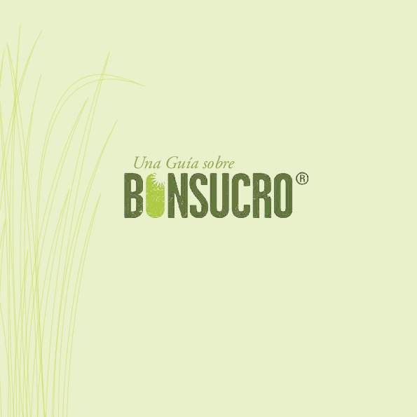 (PDF) Una Guía sobre Bonsucro
