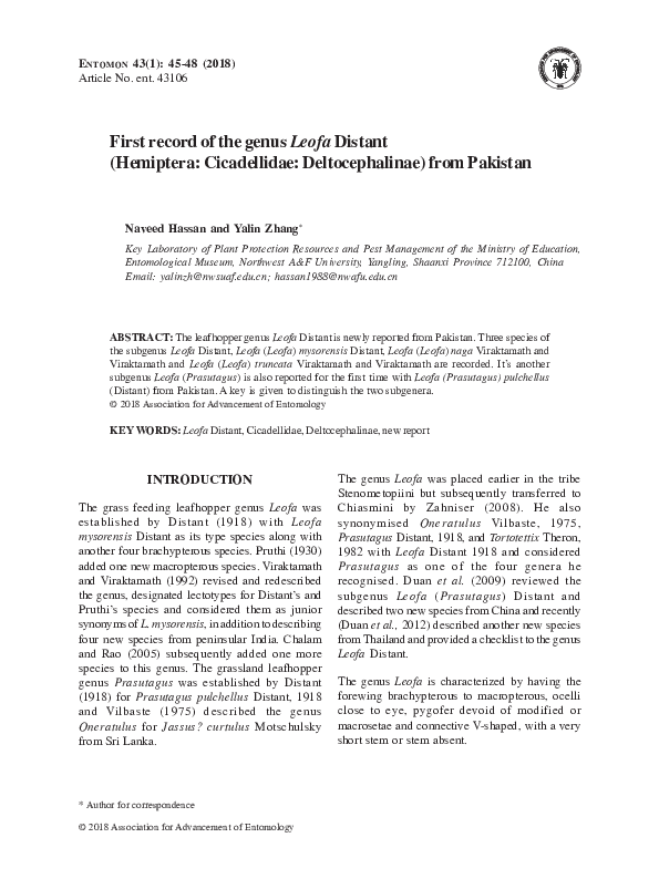 (PDF) Leofa.pdf