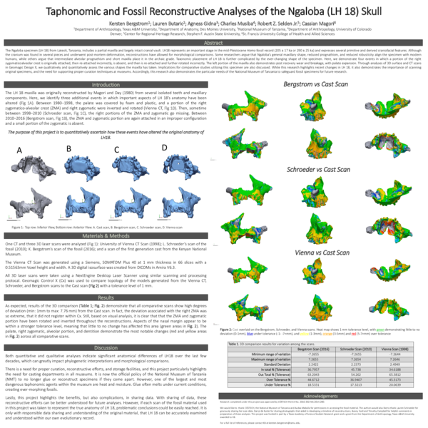 (PDF) Taphonomic and Fossil Reconstructive Analyses of the Ngaloba (LH ...