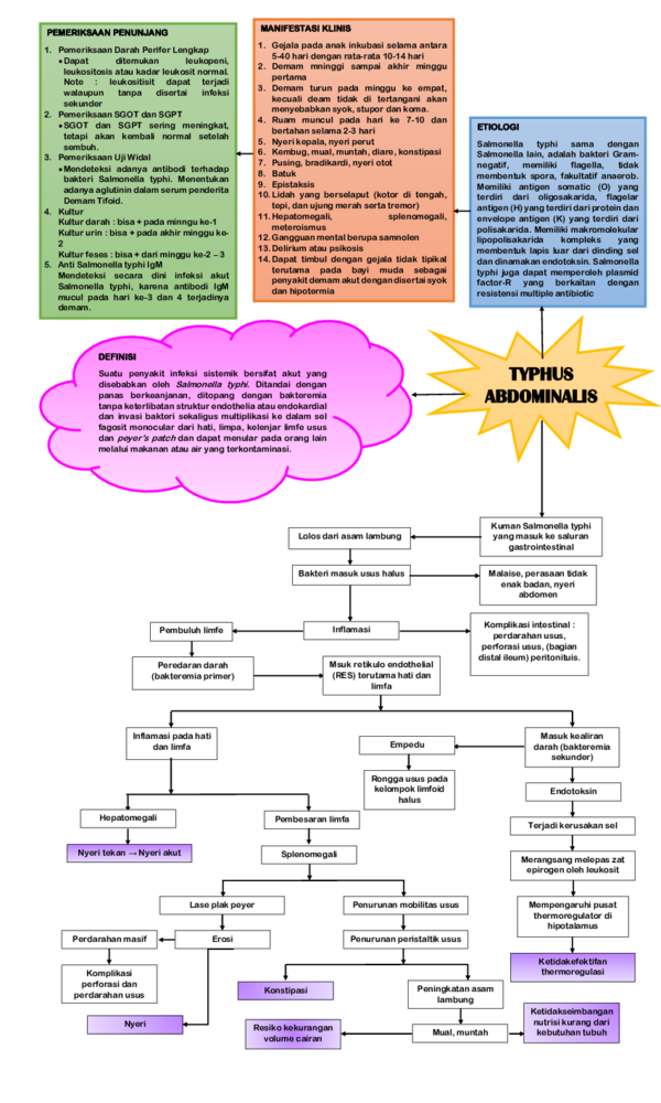 (DOC) WOC Typhus Abdominalis