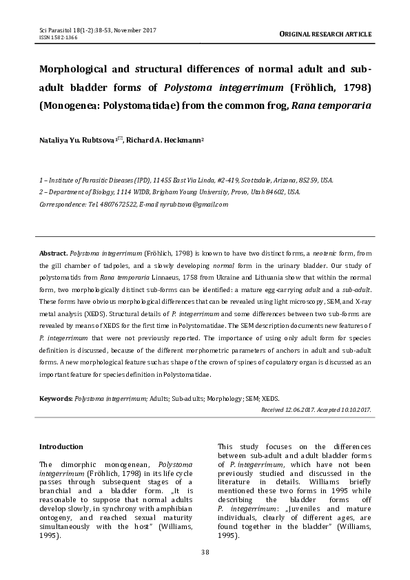 (PDF) Morphological and structural differences of normal adult and sub ...
