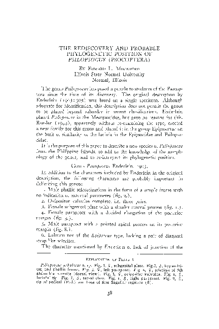 (PDF) The Rediscovery and Probable Phylogenetic Position of Psilopsocus ...