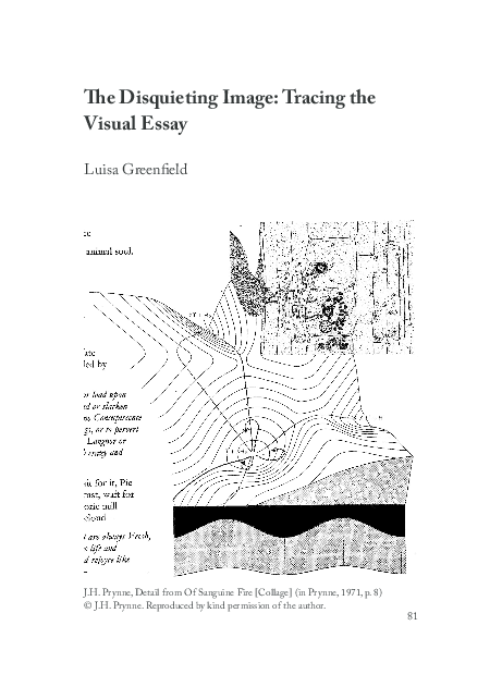 (PDF) The Disquieting Image: Tracing the Visual Essay