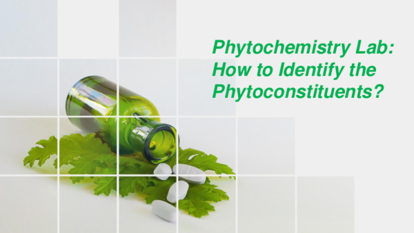 (PPT) Phytochemistry Lab: How to Identify the Phytoconstituents?