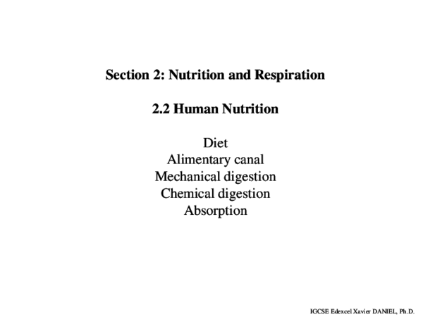 (PDF) Section 2: Nutrition and Respiration 2.2 Human Nutrition Diet ...