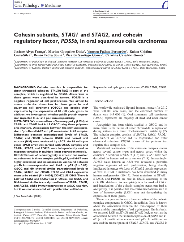 (PDF) Cohesin subunits, STAG1 and STAG2, and cohesin regulatory factor ...