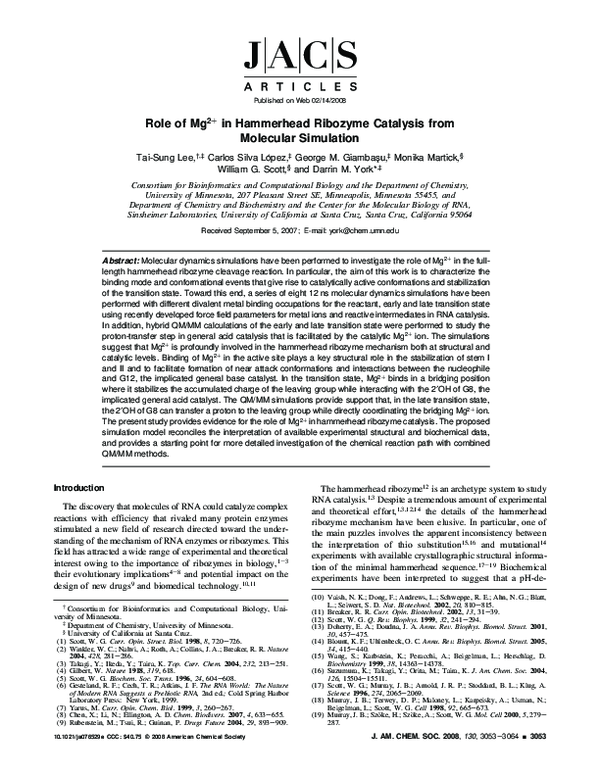 (PDF) Role of Mg 2+ in Hammerhead Ribozyme Catalysis from Molecular ...