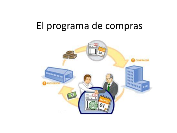 (PDF) El programa de compras | Aline Martínez - Academia.edu