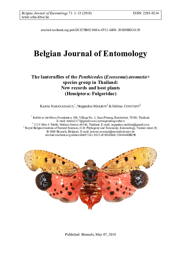 (PDF) The lanternflies of the Penthicodes (Ereosoma) atomaria+species ...