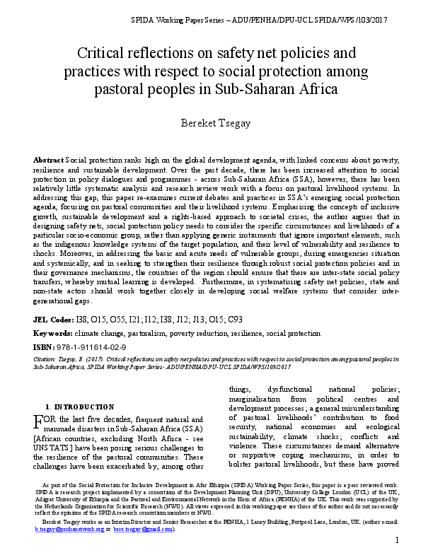 (PDF) Critical reflections on safety net policies and practices with ...