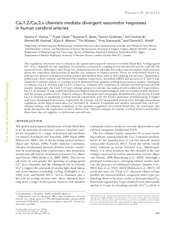 (PDF) CaV1.2/CaV3.x channels mediate divergent vasomotor responses in ...