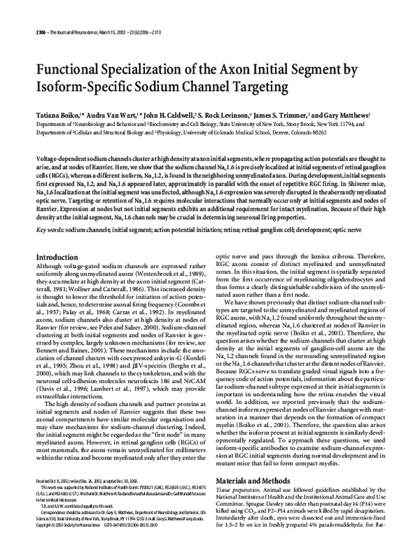 (PDF) Functional specialization of the axon initial segment by isoform-specific sodium channel ...