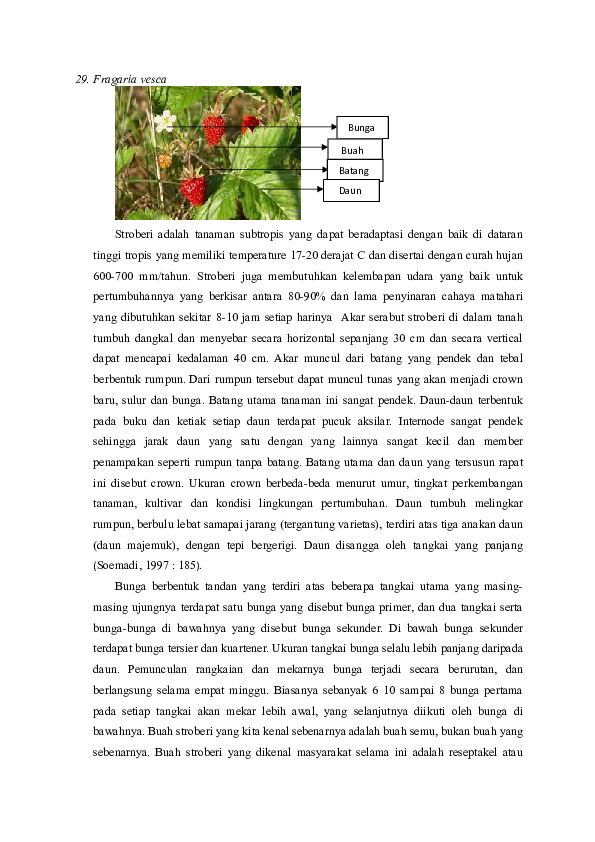 (DOC) Pembahasan fabids