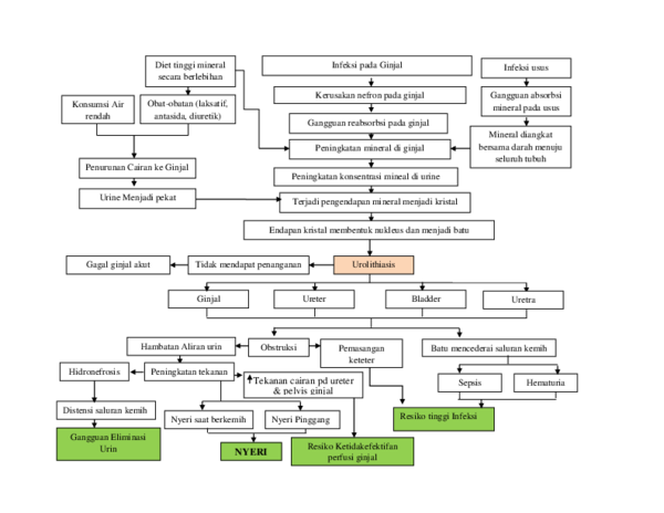 (DOC) woc batu saluran kemih