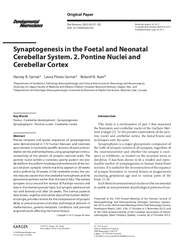 (PDF) E-Mail Synaptogenesis in the Foetal and Neonatal Cerebellar ...