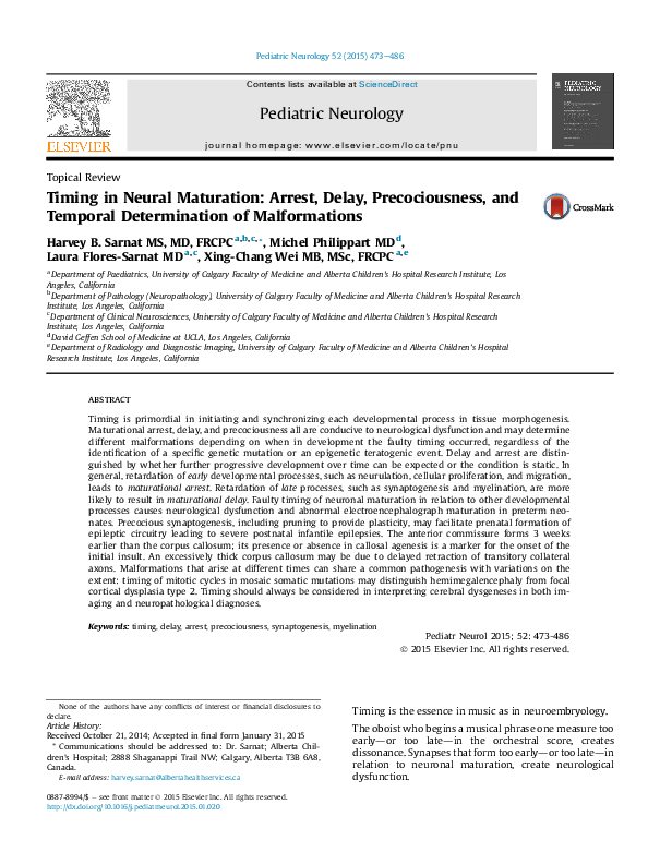 (PDF) Topical Review Timing in Neural Maturation: Arrest, Delay ...