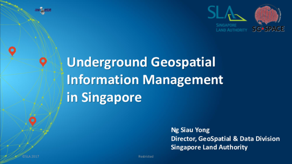 (PDF) Underground Geospatial Information Management in Singapore