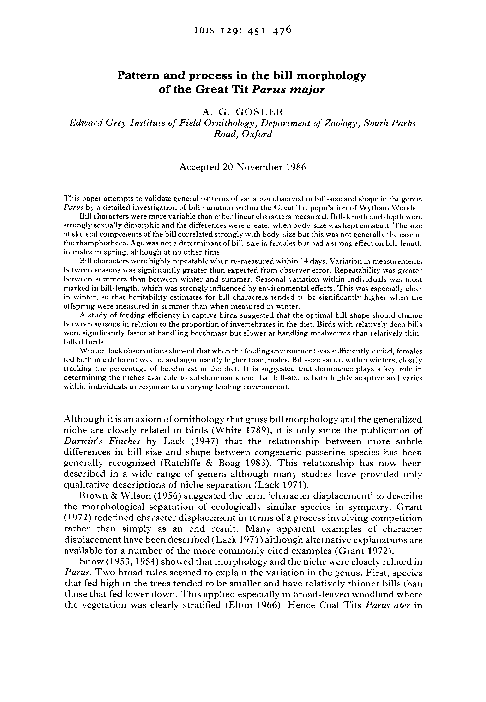 (PDF) Pattern and process in the bill morphology of the Great Tit Parus ...