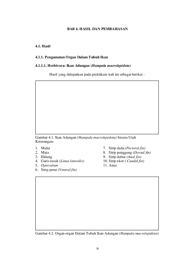(DOC) BAB 4. HASIL DAN PEMBAHASAN