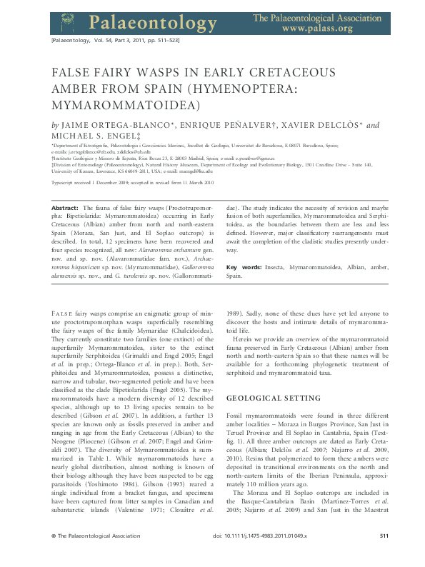 (PDF) False fairy wasps in Early Cretaceous amber from Spain ...