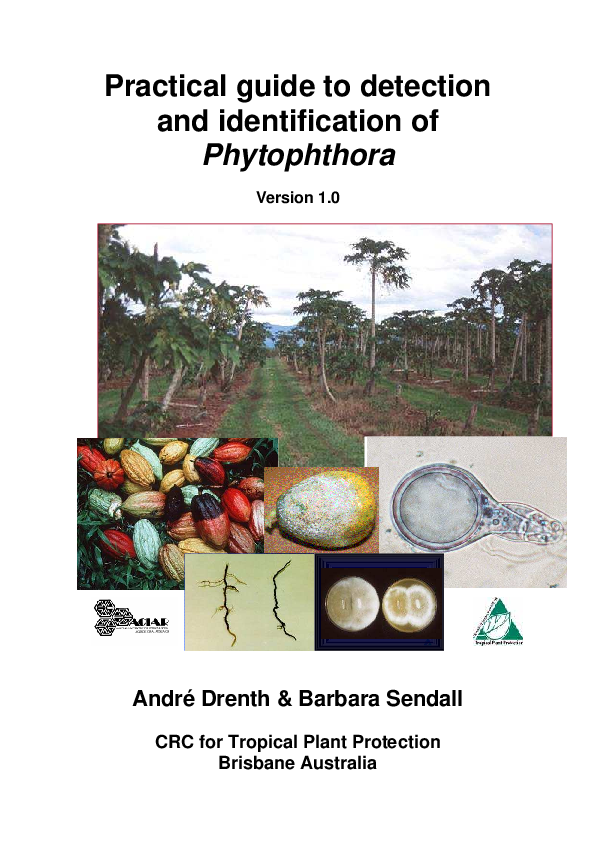 (PDF) Practical guide to detection and identification of Phytophthora André Drenth & Barbara ...