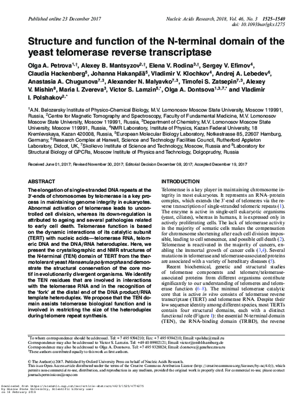 Pdf Structure And Function Of The N Terminal Domain Of The Yeast Telomerase Reverse Transcriptase