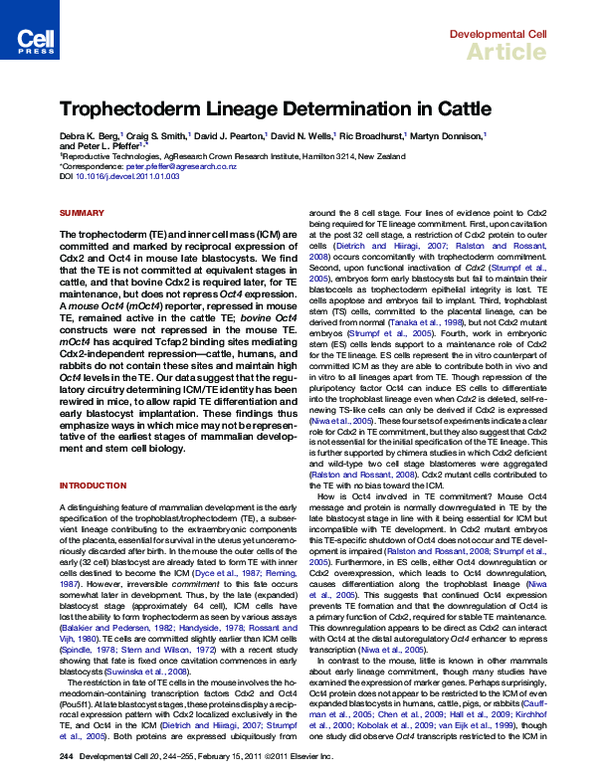 (PDF) Trophectoderm Lineage Determination in Cattle