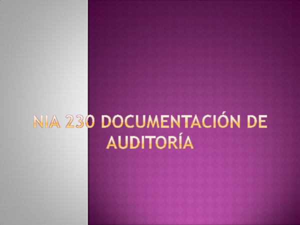 (PDF) NIA 230 DOCUMENTACIÓN DE AUDITORIA
