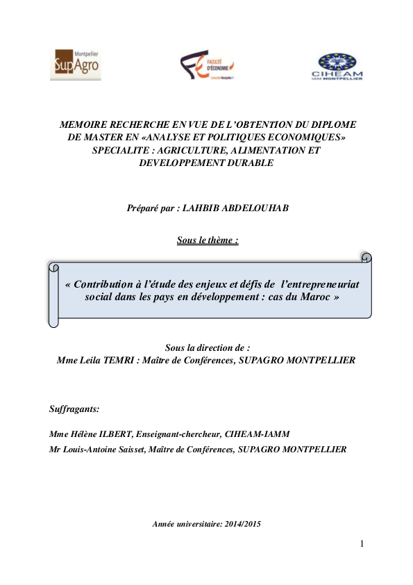 (PDF) Memoire ES DANS LES PED 2015 1