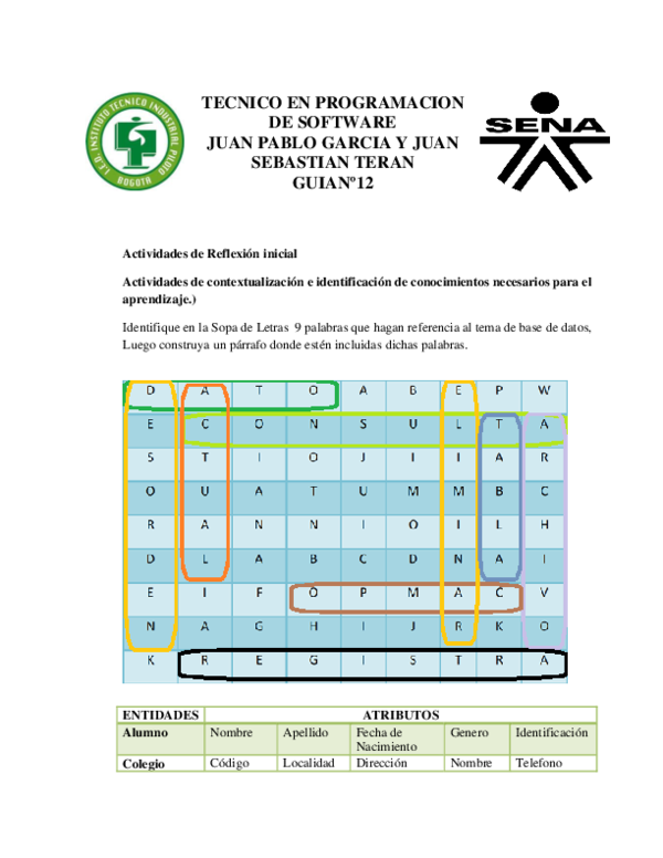 (DOC) TECNICO EN PROGRAMACION DE SOFTWARE