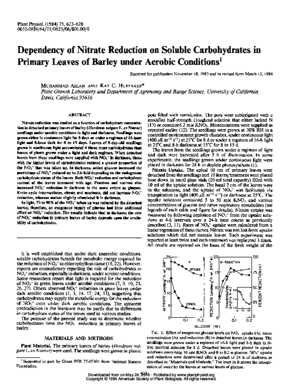 (PDF) Dependency of Nitrate Reduction on Soluble Carbohydrates in ...