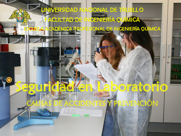 (PPT) Seguridad en laboratorio1 1 | Diego Alvarez - Academia.edu