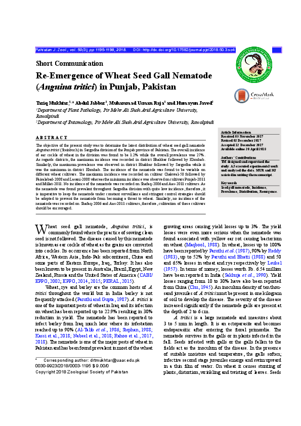 (PDF) Re-Emergence of Wheat Seed Gall Nematode (Anguina tritici) in ...