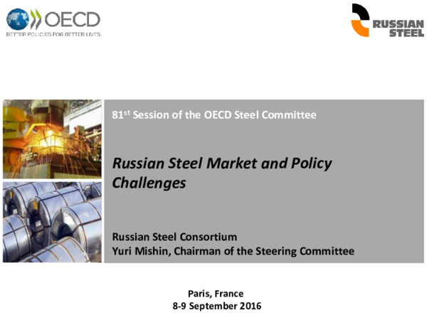 (PDF) Russian Steel Market and Policy Challenges