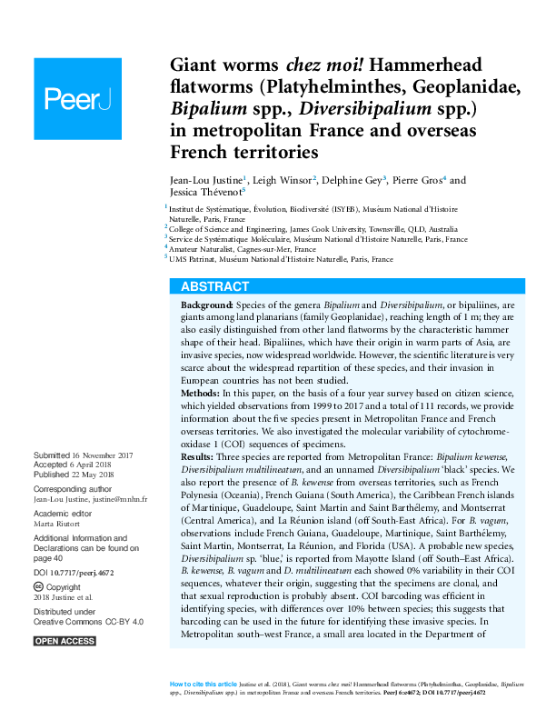 (PDF) Giant worms chez moi! Hammerhead flatworms (Platyhelminthes ...