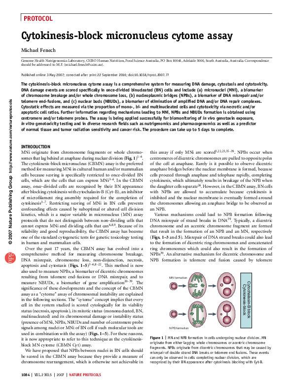 (PDF) Cytokinesis-block micronucleus cytome assay