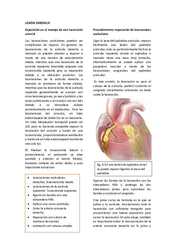 (DOC) LESIÓN CARDÍACA