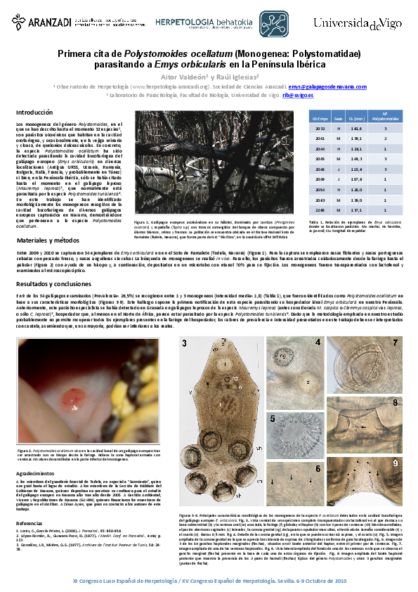 (PDF) Primera cita de Polystomoides ocellatum (Monogenea ...
