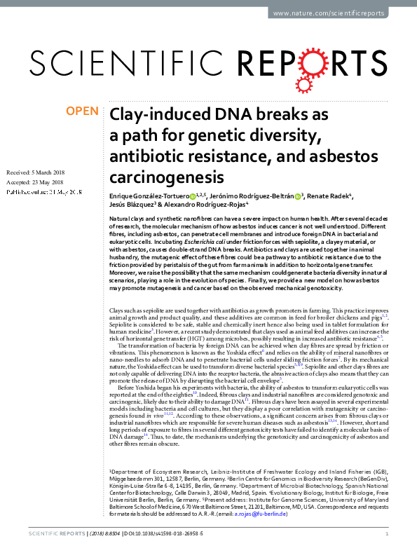 (PDF) Clay-induced DNA breaks as a path for genetic diversity ...