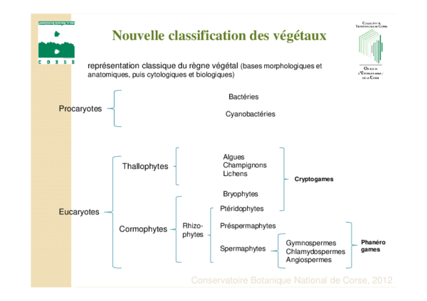 (PDF) Nouvelle classification des végétaux